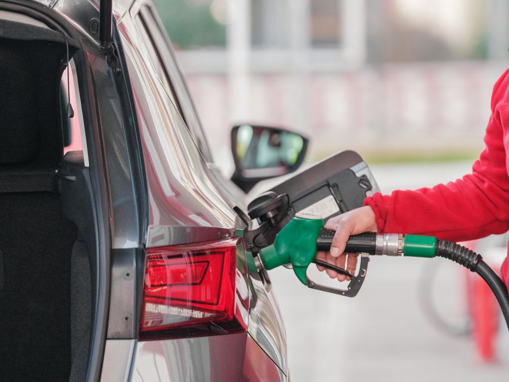 Where does our fuel come from?